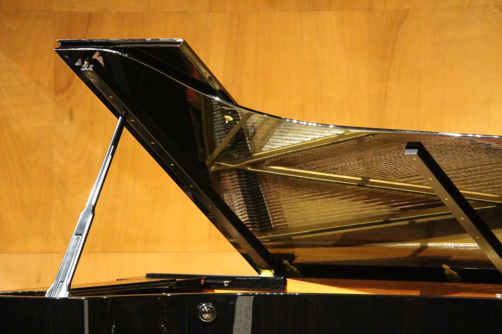 ADOSM - Entraide Marine Macha Kanza joue au piano Liszt et Rachmaninoff ...